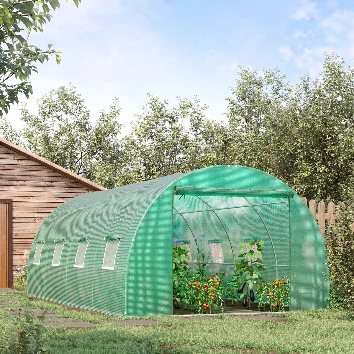 20 x 10 ft (6 x 3 m) Large Walk-In Greenhouse with Steel Frame ...